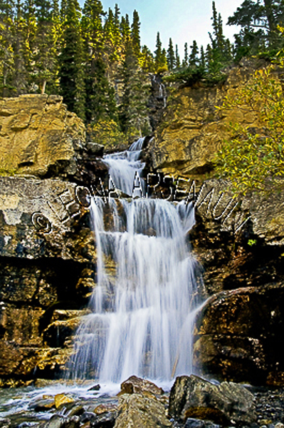 CANADA;ALBERTA;ICEFIELD PARKWAY;CANADIAN ROCKIES;ROCKY MOUNTAINS;WATER ...